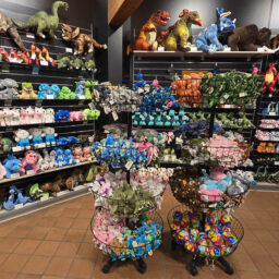 Visitor information | Dinopark