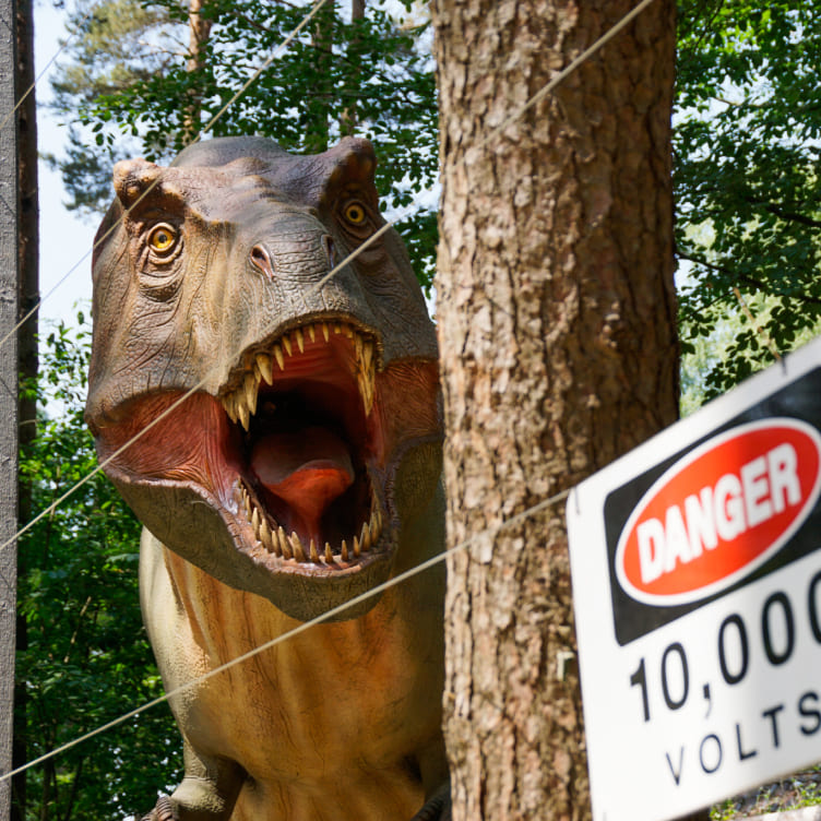 Dinopark Münchehagen: Germany's largest dinosaur park